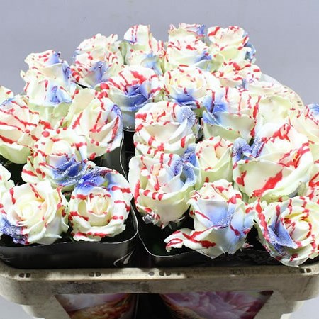 Buy Waxed Roses & Waxed Rose Hips | Wholesale Flowers & Florist Supplies UK