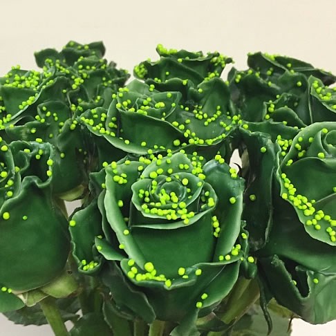 Buy Waxed Roses & Waxed Rose Hips | Wholesale Flowers & Florist Supplies UK