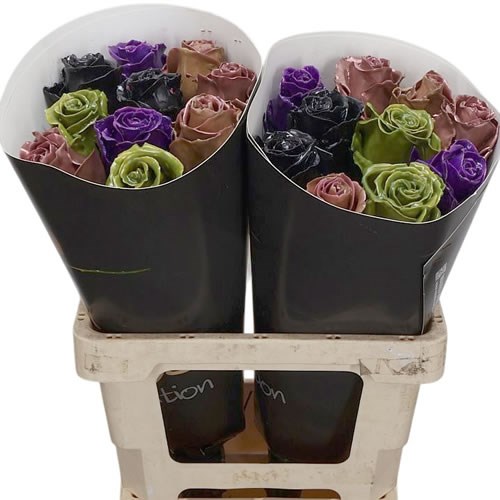 Buy Waxed Roses & Waxed Rose Hips | Wholesale Flowers & Florist Supplies UK