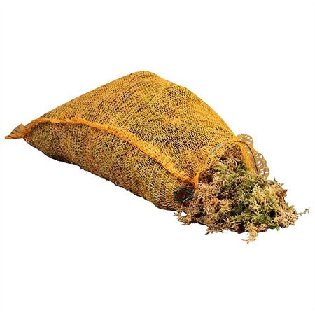 Buy Fresh Moss | Wholsale Flowers & Florist Supplies UK