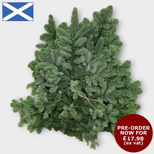Pre-Order Christmas Foliage such as Spruce Bundles, Sphagnum Moss & Holly