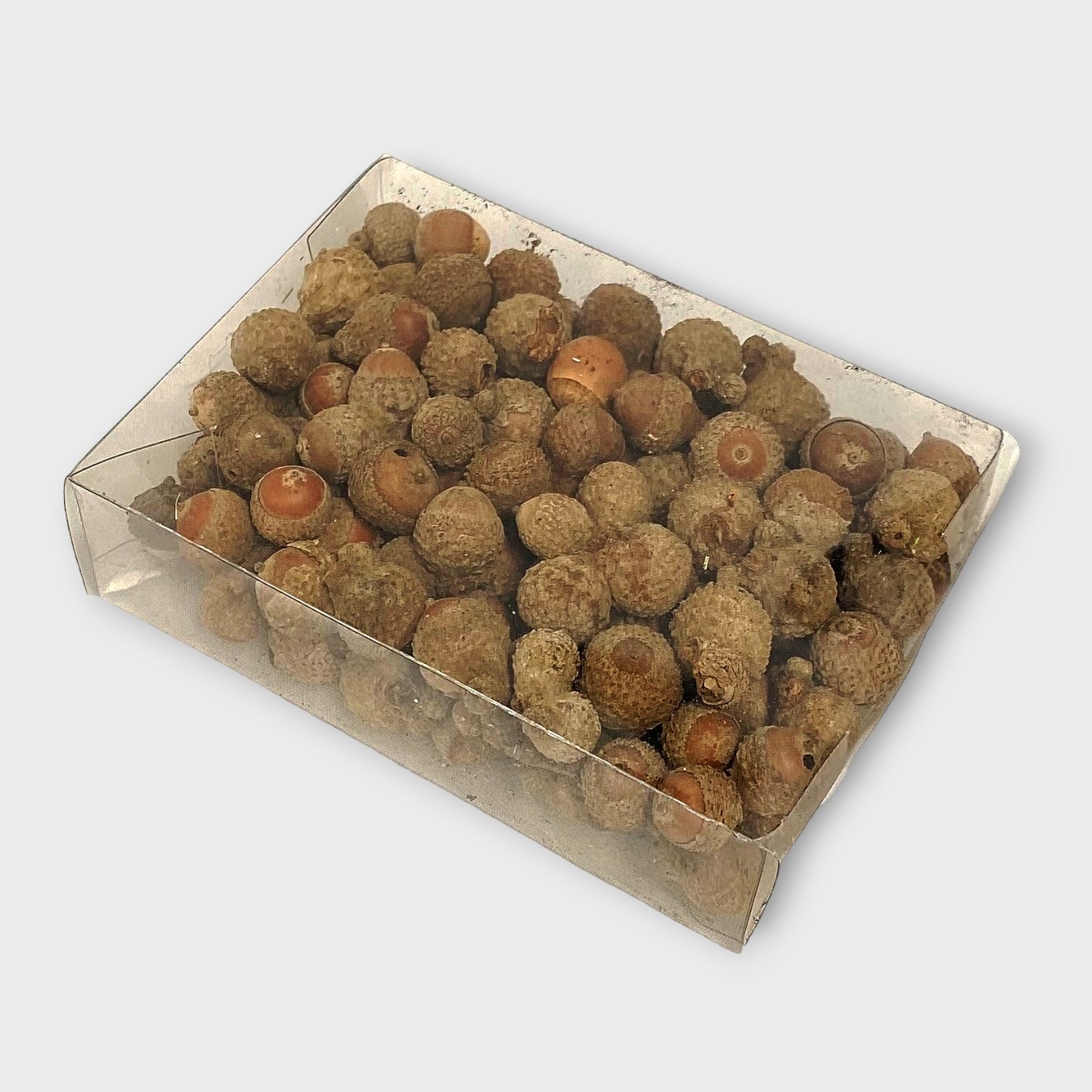 Dried Acorns 100g| Wholesale Dutch Flowers Direct & Florist Supplies UK