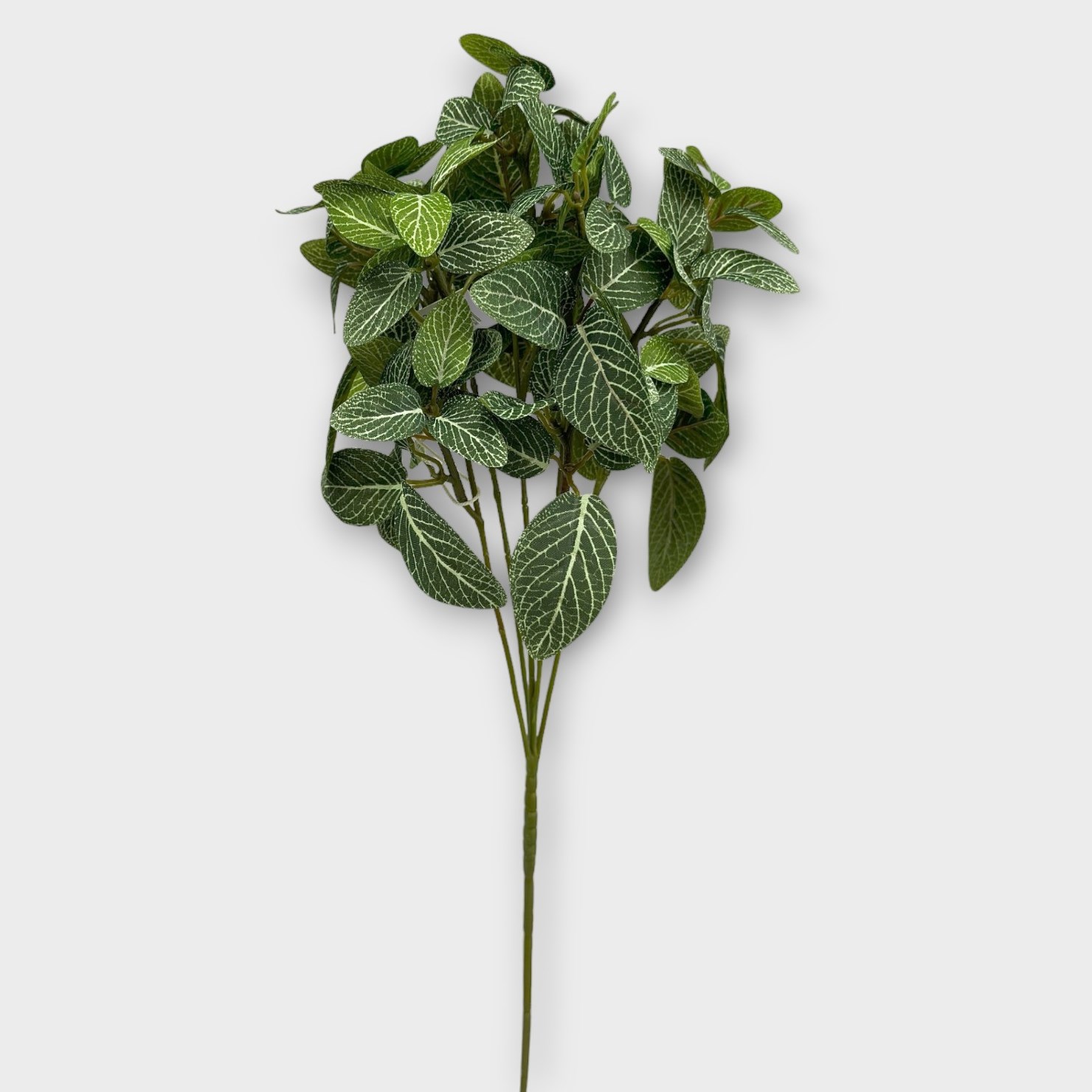 Artificial Faux Silk Flowers & Foliage UK | Artificial Faux Fittonia ...