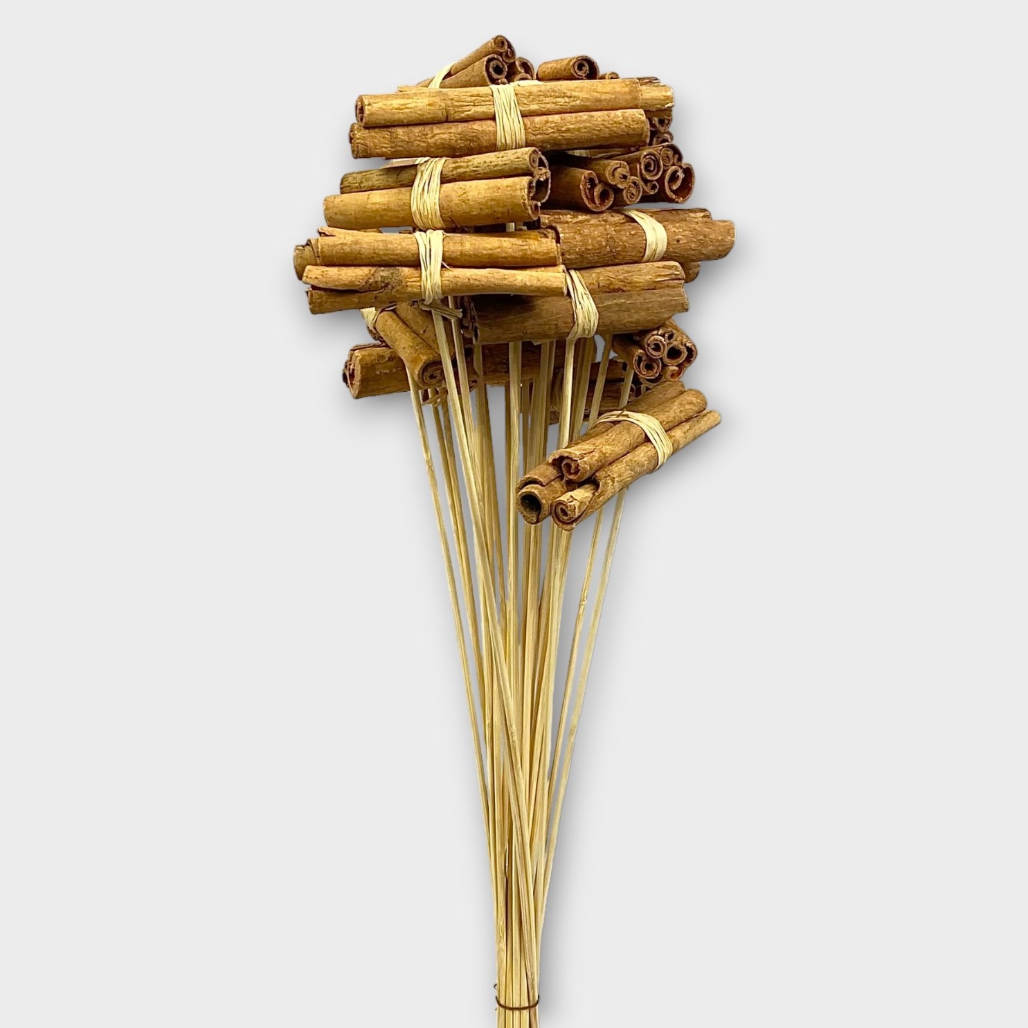 Cinnamon Stick Picks 50cm | Wholesale Dutch Flowers & Florist Supplies UK