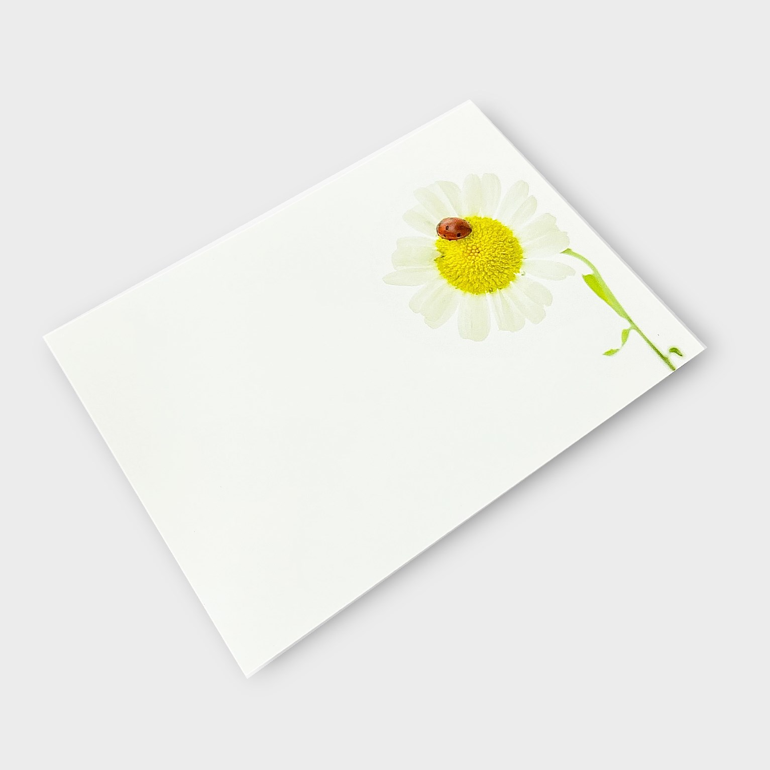 Florists Message Gift Cards Large - Ladybird | Message Cards for ...