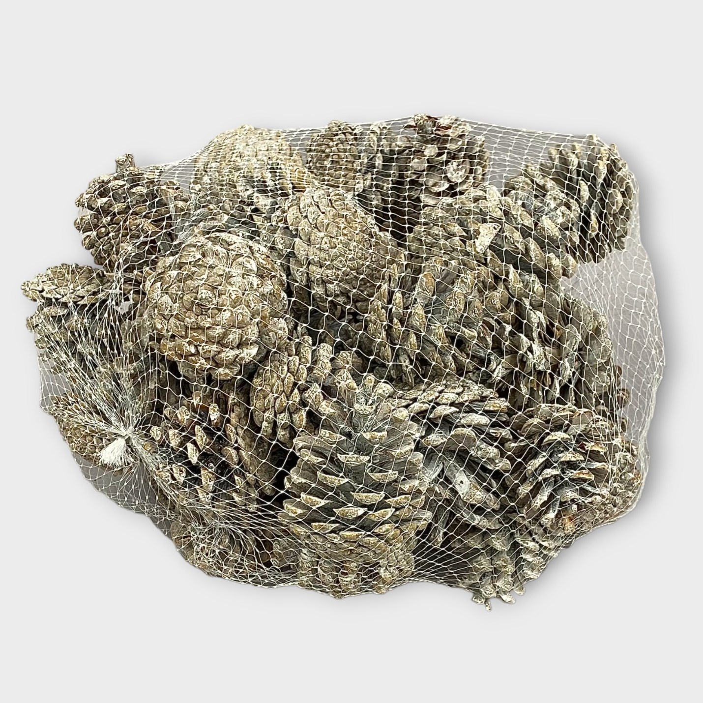 Pine Cones Frosted 1Kg Bag | Wholesale Dutch Flowers Direct & Florist ...