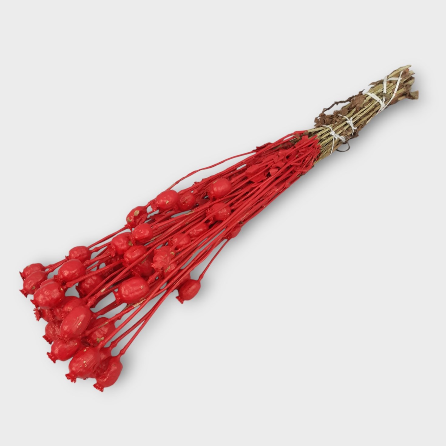 Poppy Heads Dyed Red (Dried) 60cm | Wholesale Dried Flowers UK ...