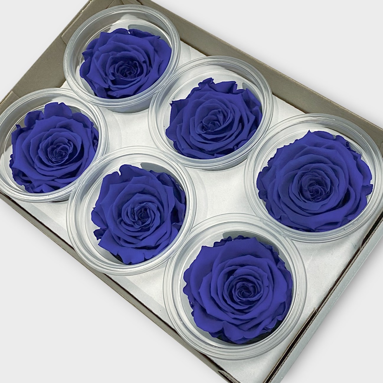 Luxury One Year Preserved Roses Blue | Preserved Rose Heads UK | Dried ...