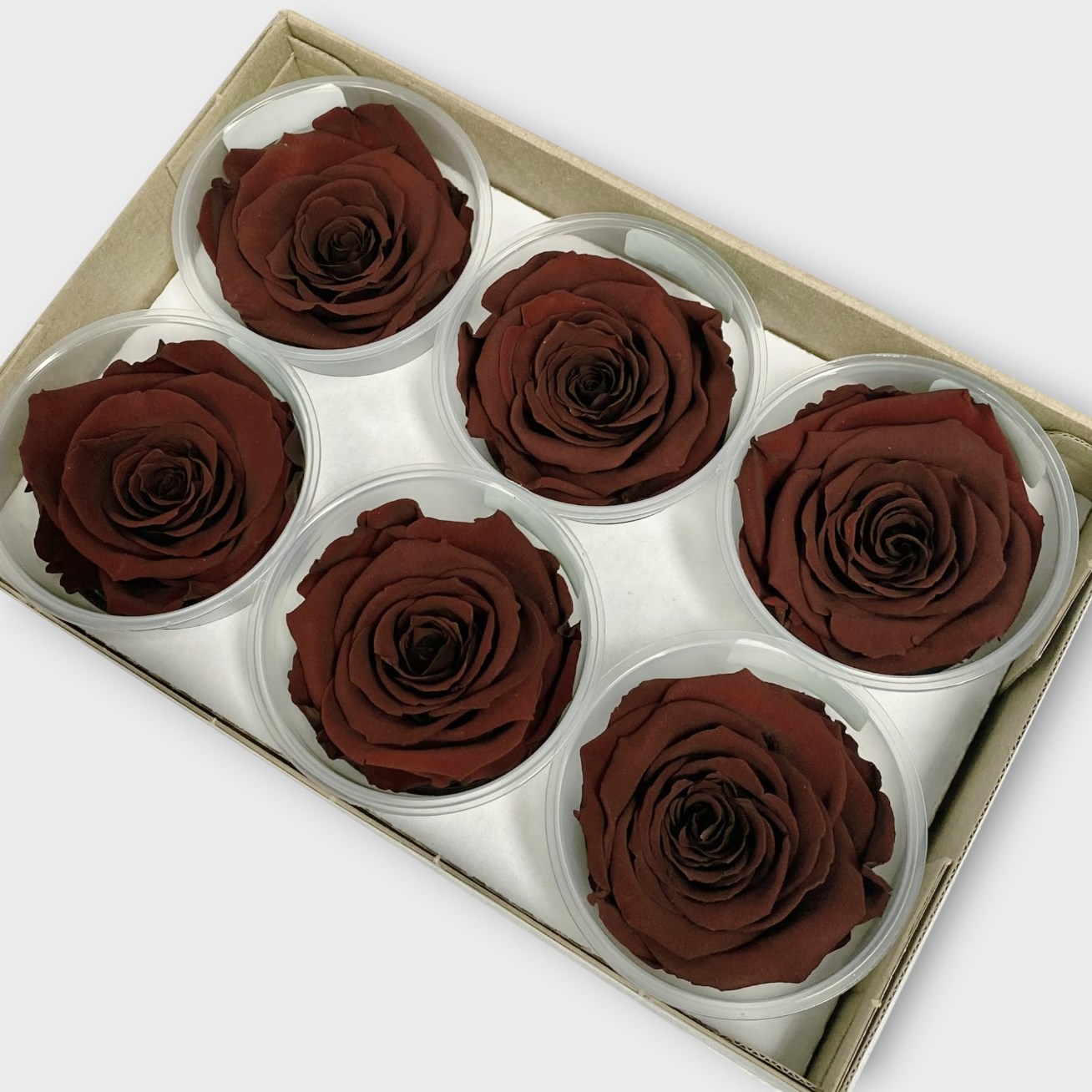 Luxury One Year Preserved Roses Choco L+ | Preserved Rose Heads UK ...