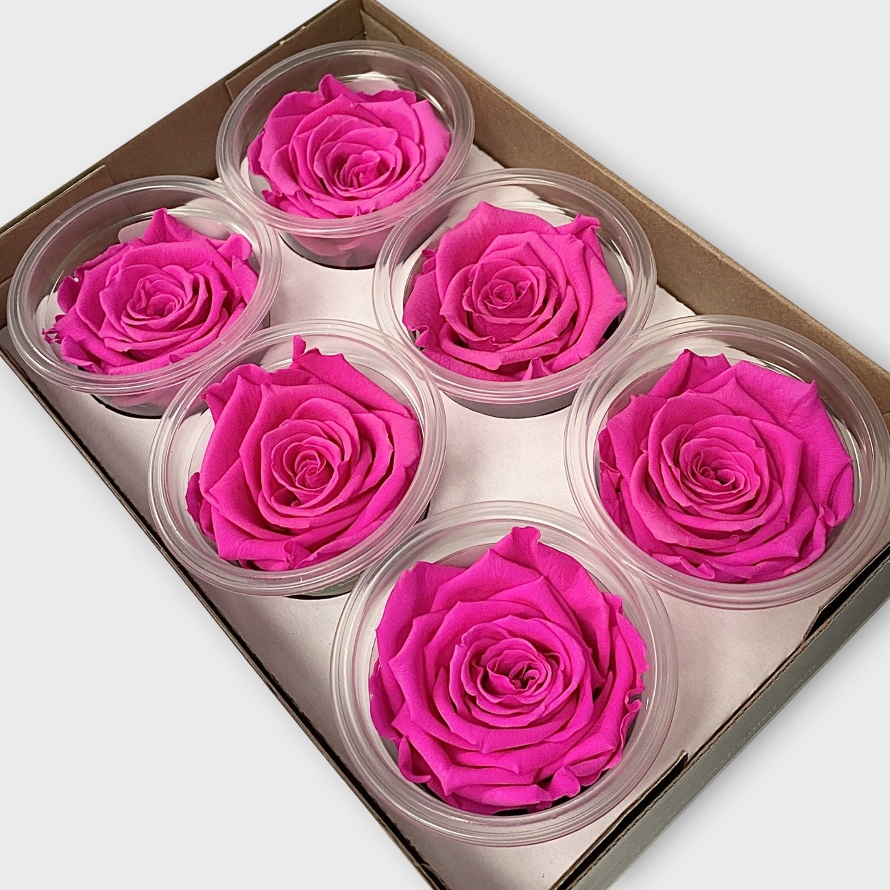 Luxury One Year Preserved Roses Fuchsia | Preserved Rose Heads UK ...