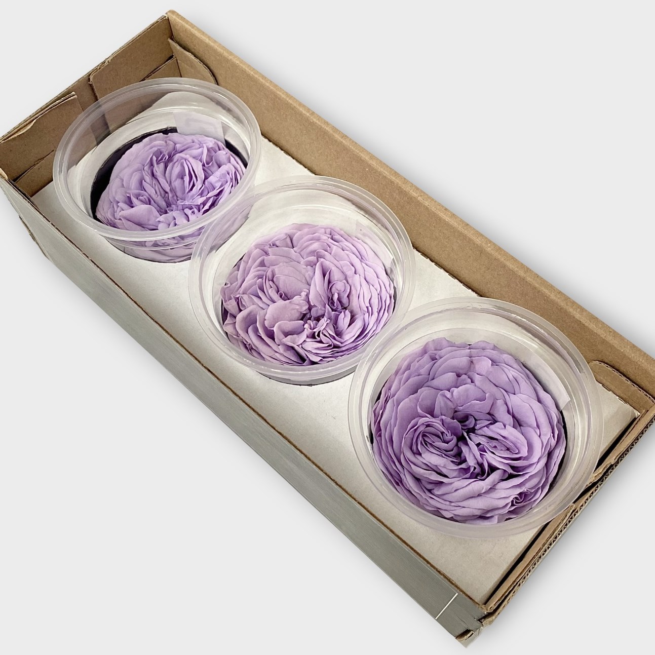 Luxury One Year Preserved Roses Violet Garden | Preserved Rose Heads UK ...