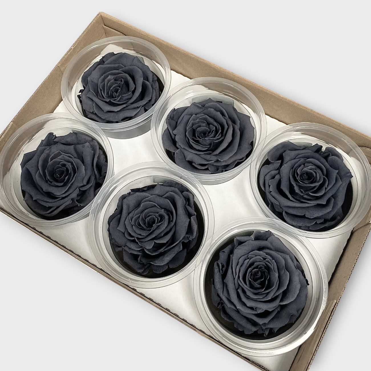 Luxury One Year Preserved Roses Grey | Preserved Rose Heads UK | Dried ...