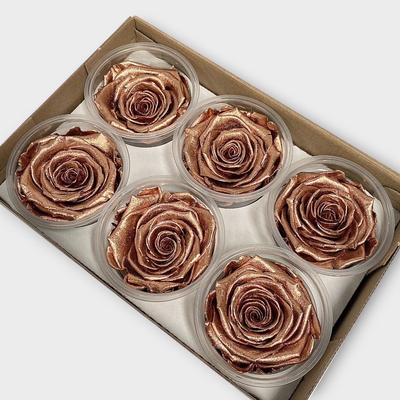 Luxury One Year Preserved Roses Copper | Preserved Rose Heads UK ...