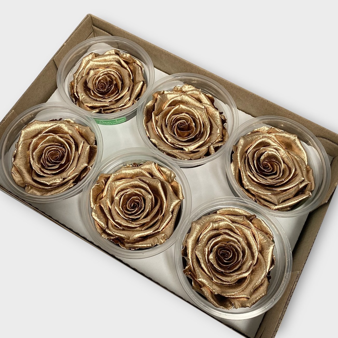 Luxury One Year Preserved Roses Gold L+ | Preserved Rose Heads UK ...