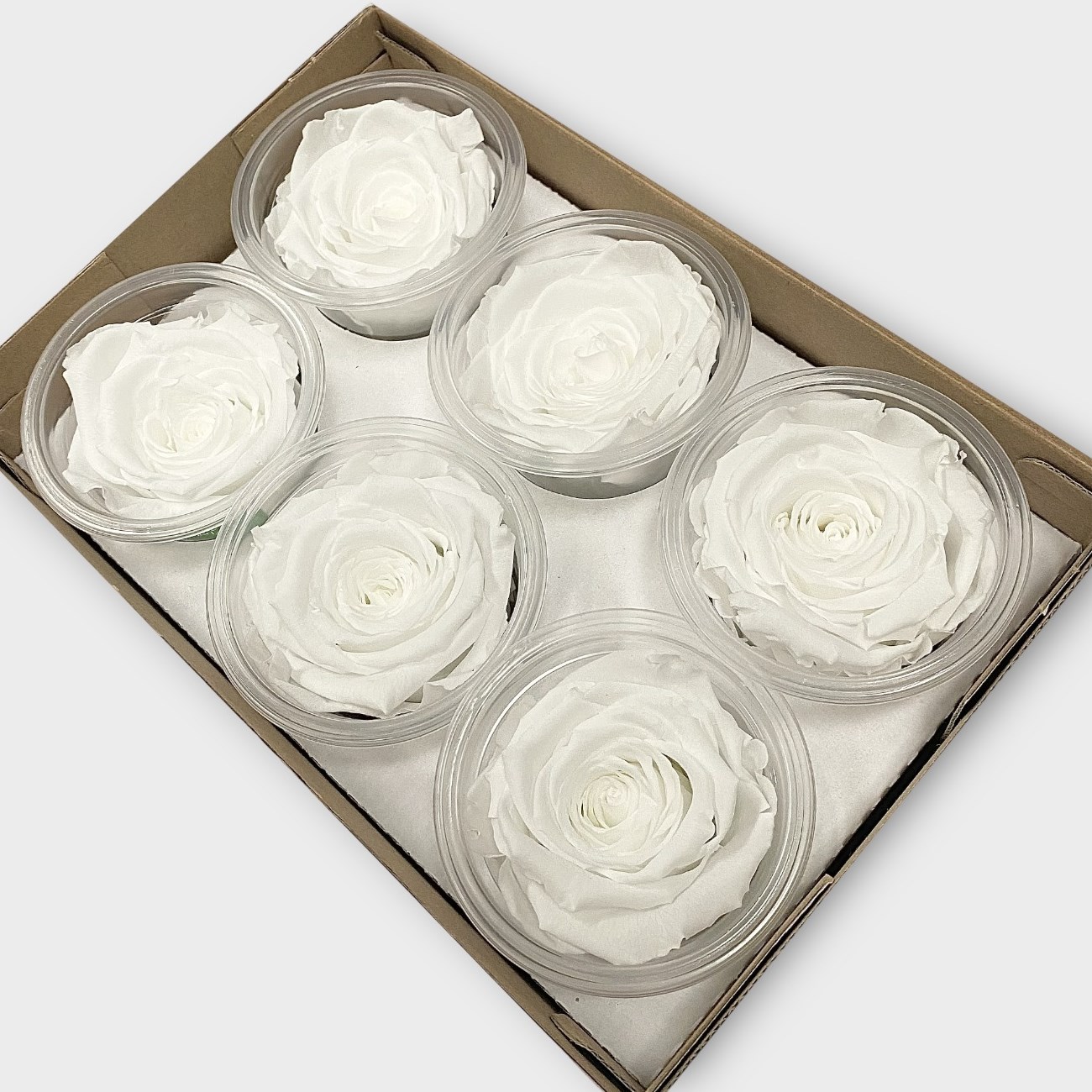 Luxury One Year Preserved Roses White | Preserved Rose Heads UK | Dried ...
