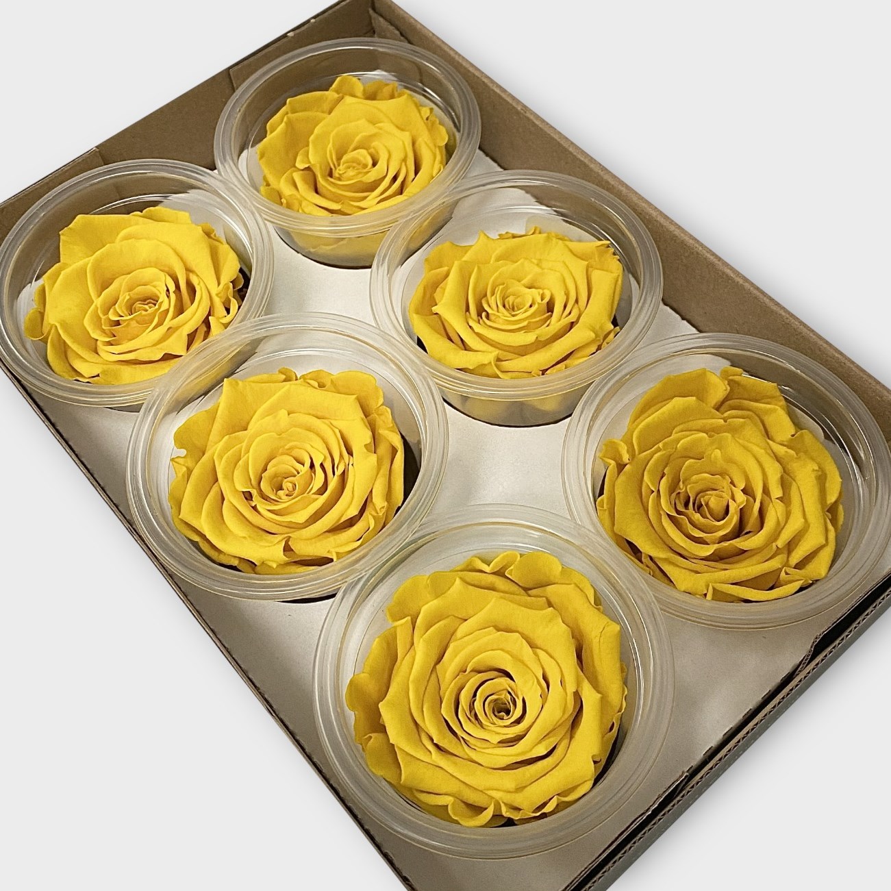 Luxury One Year Preserved Roses Yellow | Preserved Rose Heads UK ...