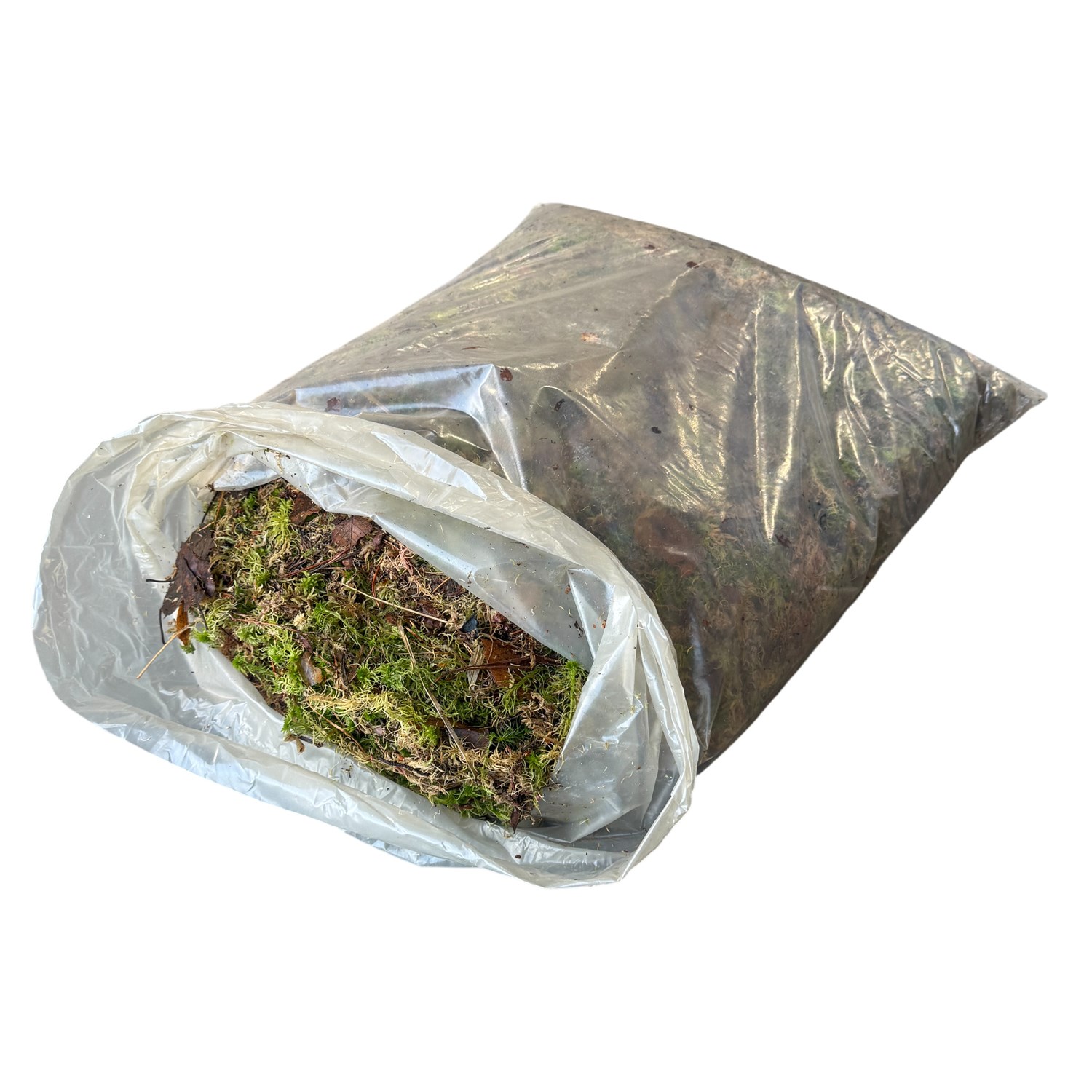 Sphagnum Moss Bag | Wholesale Dutch Fresh Moss for Wreath Making UK