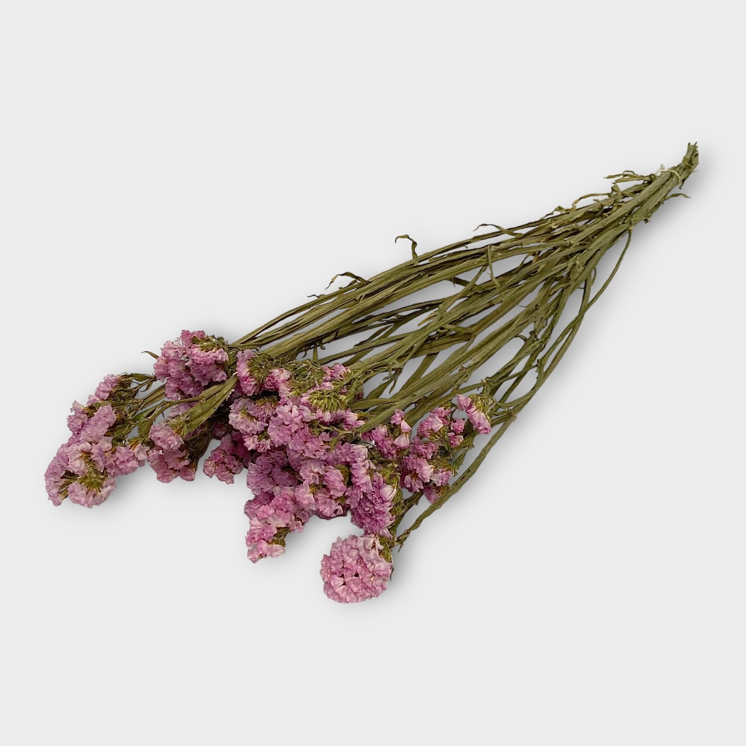 Everlasting Dried Flower Bunches & Bouquets | Statice Pink Dried 50cm