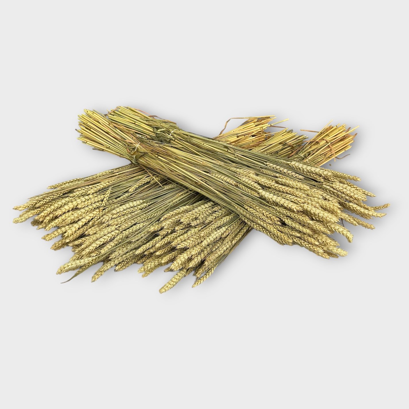 Everlasting Dried Flower Bunches & Bouquets | Wheat Dried 60cm - 5 ...