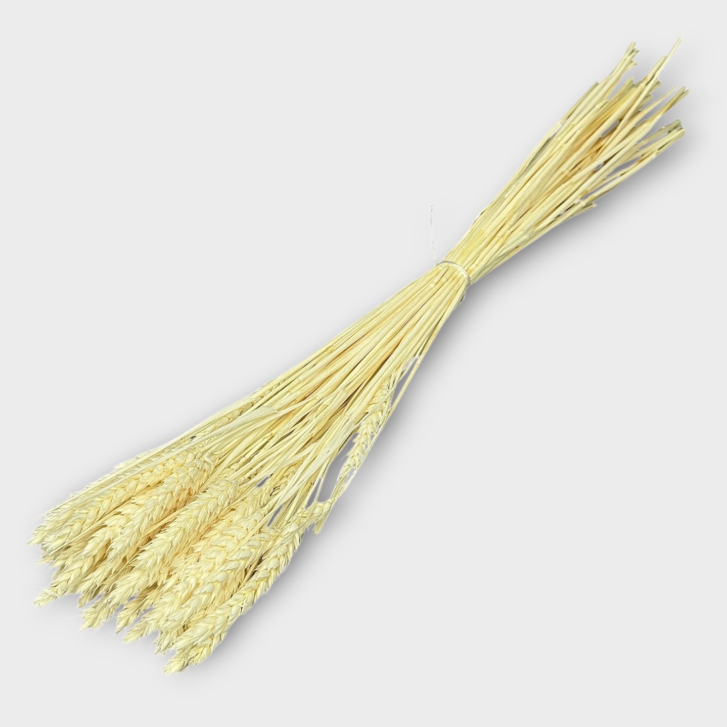 Everlasting Dried Flower Bunches & Bouquets | Wheat (Dried & Bleached) 55cm